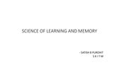 Powerpoint memory | PPT