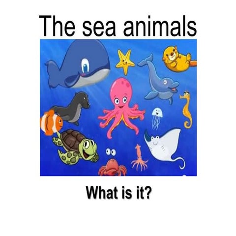 The sea animals | PPTX
