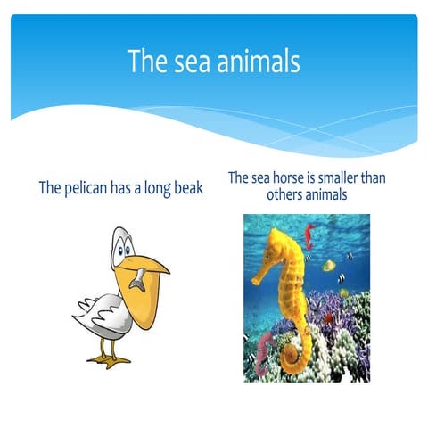 The sea animals | PPT