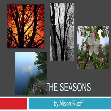 Seasons of the year for kids and children | PPTX