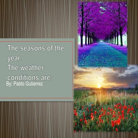 The seasons of the year | PPTX