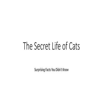 The Secret Life of Cats that you seemingly did not know | PPTX