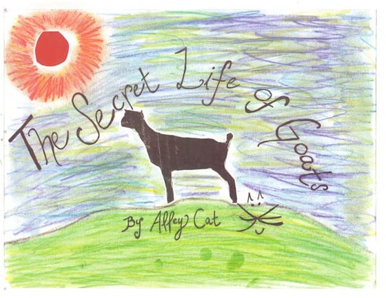 Walt Disney Cultural Program | PDF