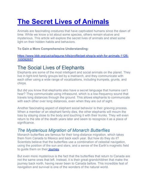 Giant Stuffed Monkeys | PDF