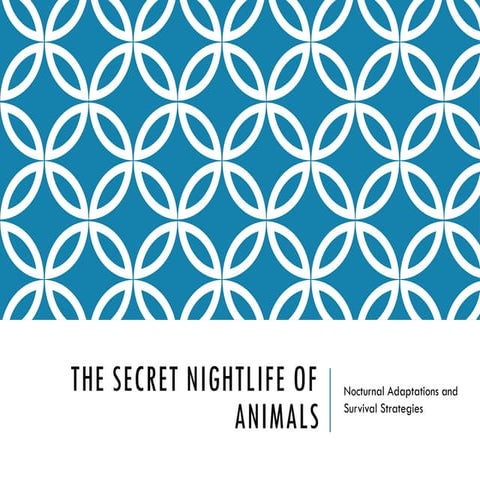 nocturnal life ,The_Secret_Nightlife_of_Animals.pptx