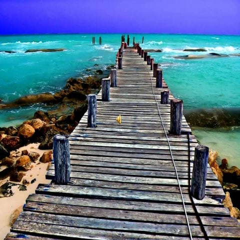 The secret of the sea fascinates me | PPSX