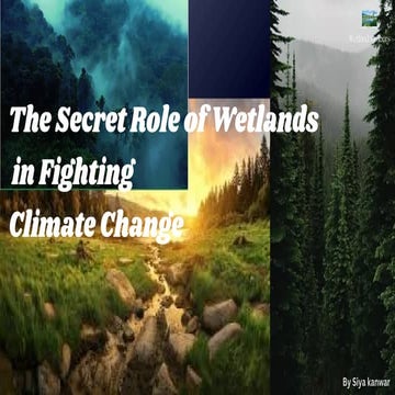 The Secret Role of Wetlands in Fighting Climate Change.pdf