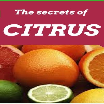 The secrets of citrus | PDF