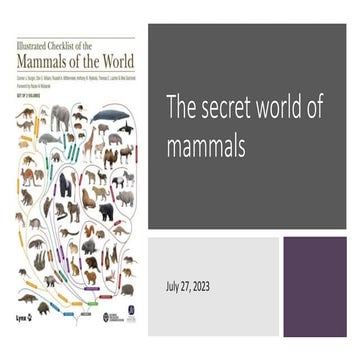 The secret world of mammals july 27..pptx