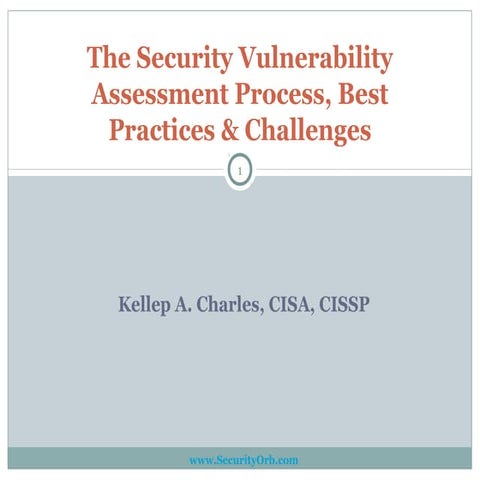 The Security Vulnerability Assessment Process And Best Practices Ppt