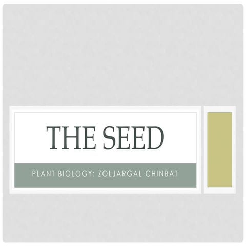 Seed structure | PPT