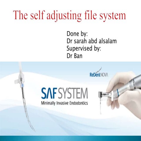 The self adjusting file system / Dr.sarah alkhateeb | PPTX