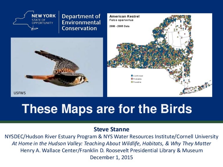 These maps are for the birds