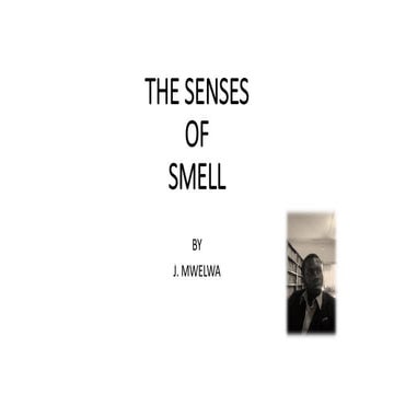 The sense of smell | PDF