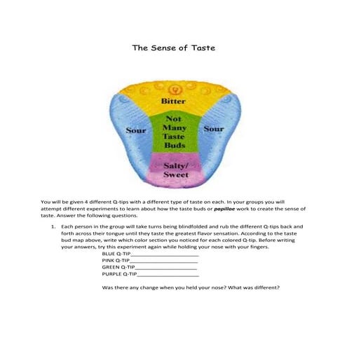 The sense of taste | DOCX