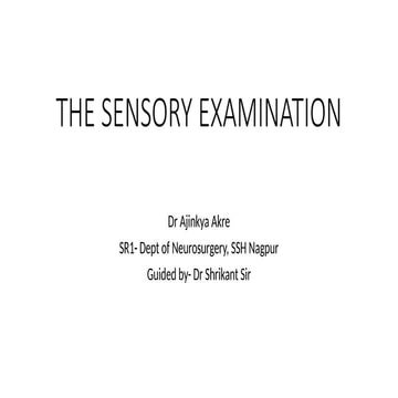 A Comprehensive Guide to the Sensory System and Its Examination | PPTX