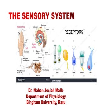 Sensory System Penn Foster Study Unit Sensory Organs, Nervous System