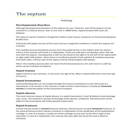 The septum | PDF