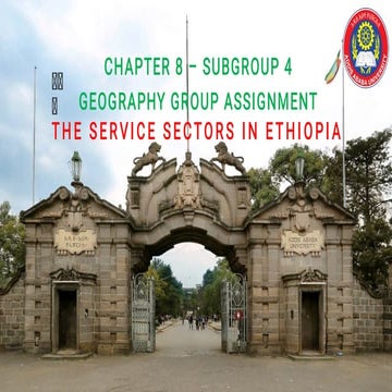 The Service Sectors of Ethiopia_-_Geo-Economy | PDF