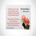 The Sick Rose.pdf