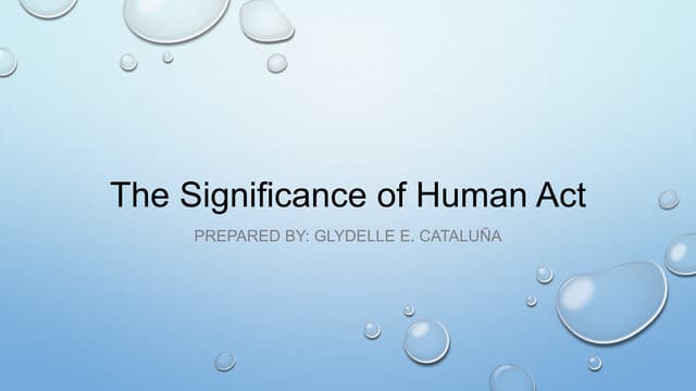 GEOMETRY IN SPIDERS WEB | PPTX