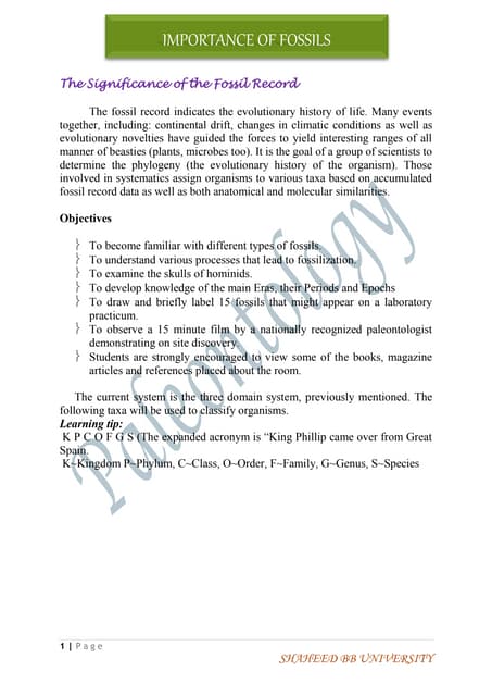 Types of fossils and uses | PPT