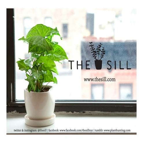 The Sill | PPT