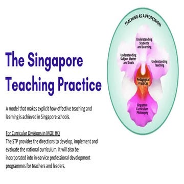 The Singapore Teaching Practice document | PDF