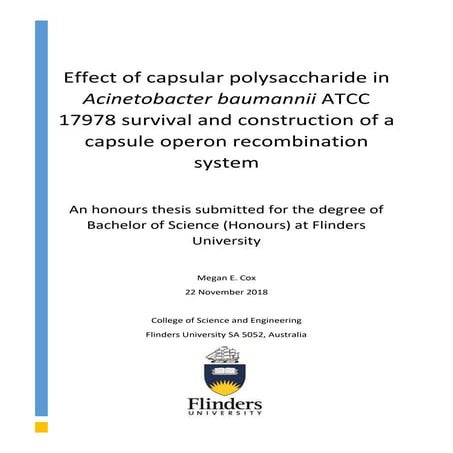 Honours thesis | PDF