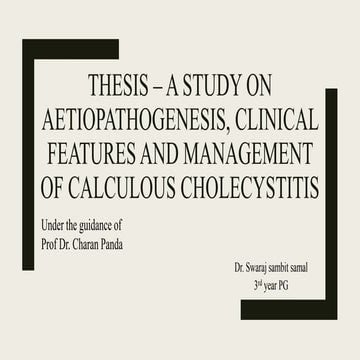 thesis presentation.pptx