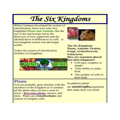 The Six Kingdoms | PDF
