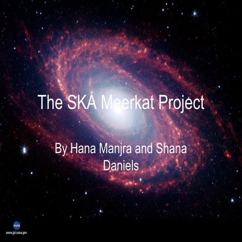 The ska meerkat project | PPT