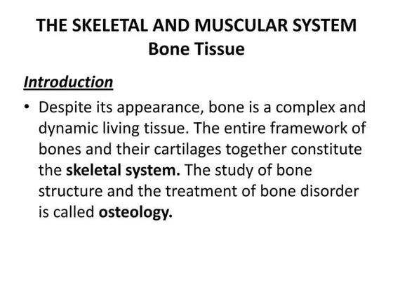 FUNCTIONS OF SKELETAL SYSTEM grade 4pptx | PPTX