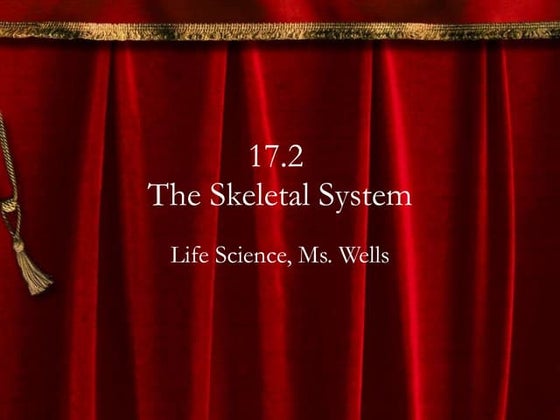 Principles of a+p 1112 session 2 - skeletal system (functions of skeletal system and bone ...