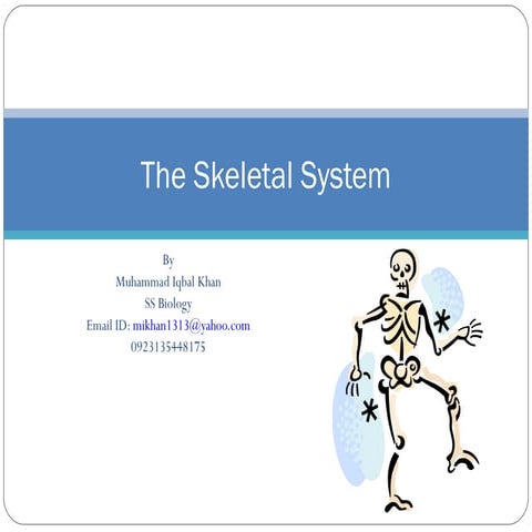 The skeletal system | PPT