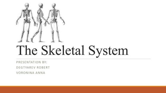 Human Skeletal System, Class 11 (Science).pptx | Death, Injury, or ...