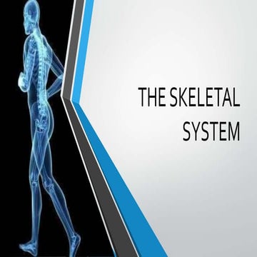 The Skeletal System | PPT