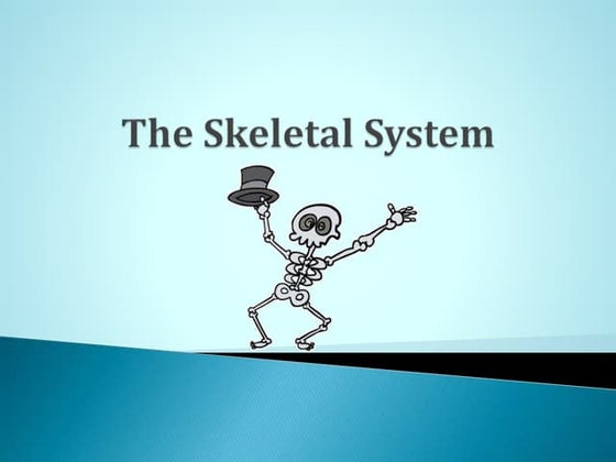 Human Skeletal System, Class 11 (Science).pptx