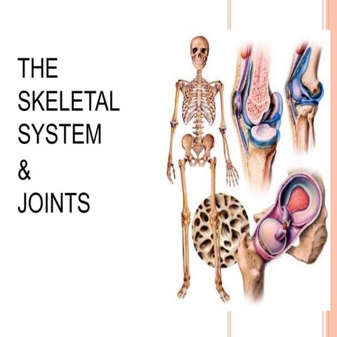 Bones, Joints, and the Architecture of Movement: Exploring the Skeletal System | PPTX