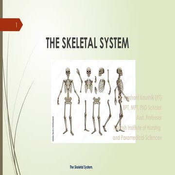 The Skeletal System Part 1 General Anatomy | PPTX