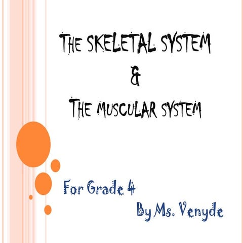 The skeletal system & the muscular system | PPT