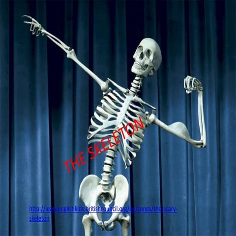 The skeleton | PPTX
