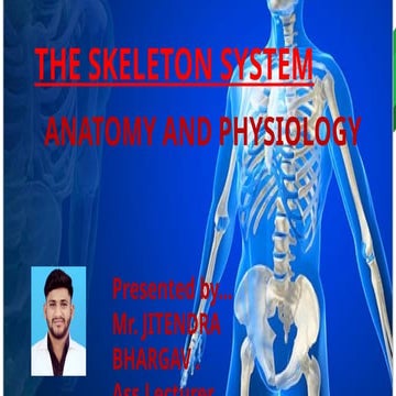 Skeletal system 6 | PPTX