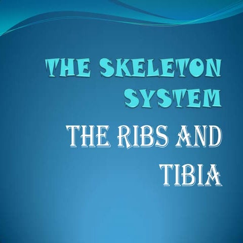 The skeleton system | PPT