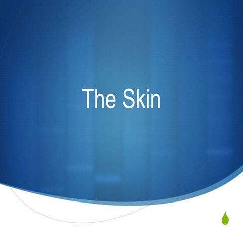 Skin anatomy | PPT