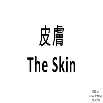 The Skin | PPT