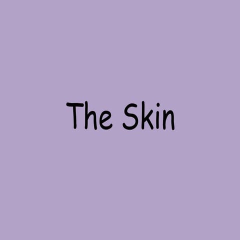The skin | PPT