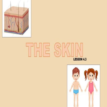 PARTS OF THE SKIN AND TAKING CARE OF IT.pptx