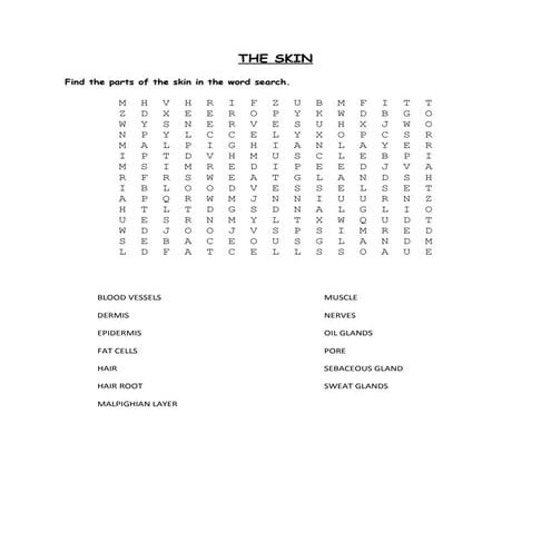 The skin word search | DOC