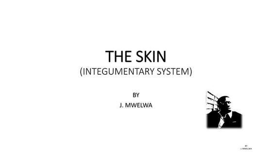 Structure and functions of the skin | PPTX